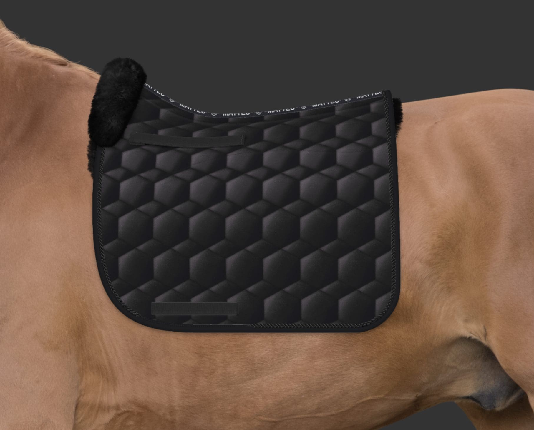 Mattes dressur underlag sort str L med spine free Dansk Rideudstyr